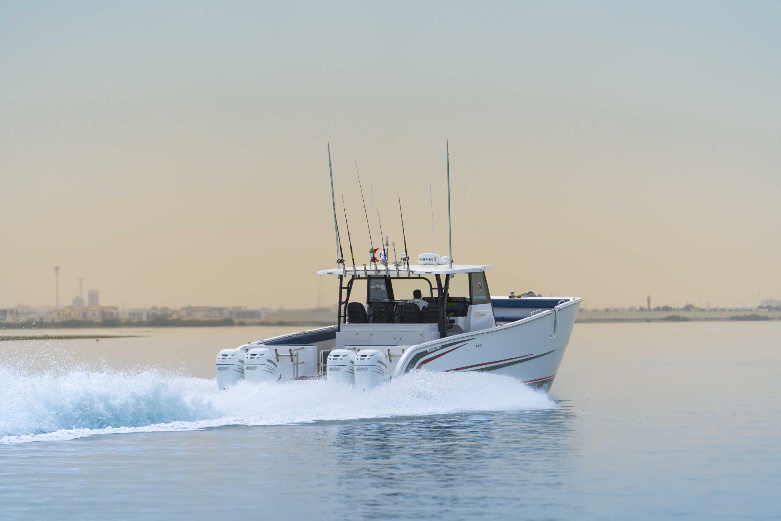 40 CC - SilverCatSilverCat